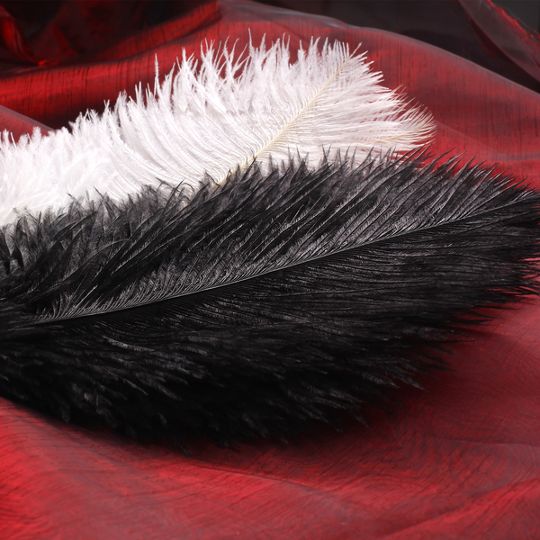 Luxury Ostrich Feather Tickler - OZGAGA