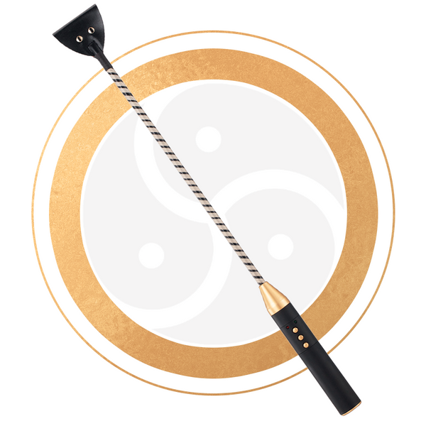 Electric Whip Electroplay - OZGAGA